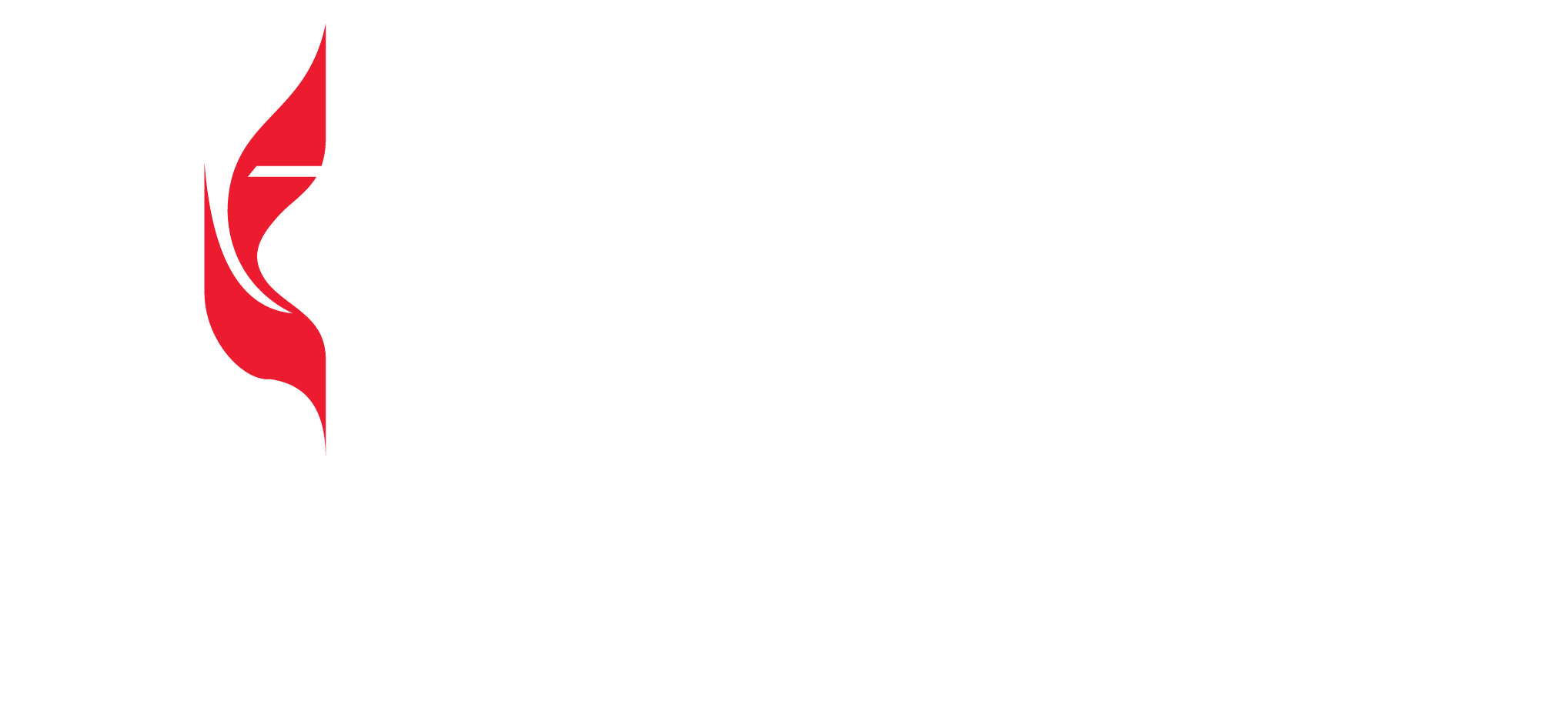 Methodist Logo